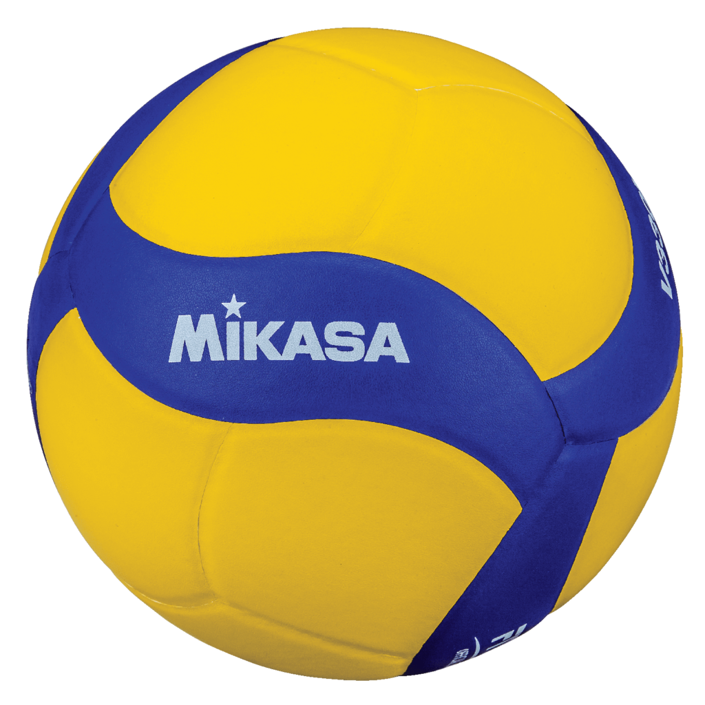 Price of a volleyball store